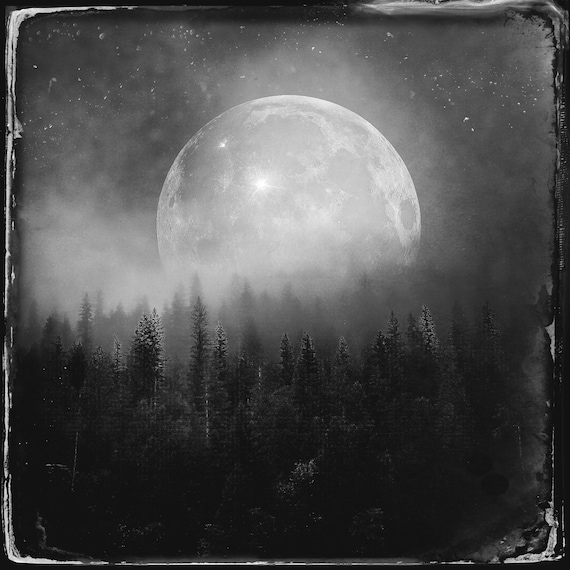 Gothic Moon Art Skull Phantom Beneath The Full Moon GIFTaze