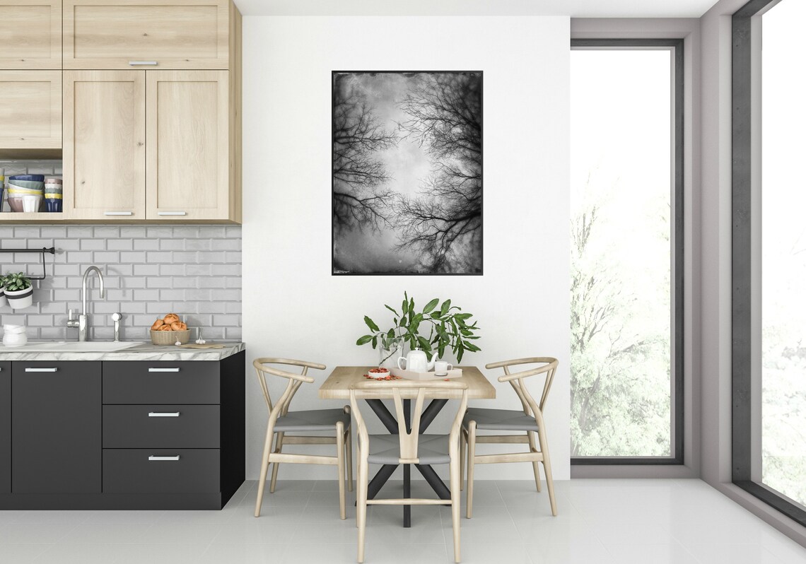 Intertwined PRINT Bare Tree Branch Photo Black and White - Etsy