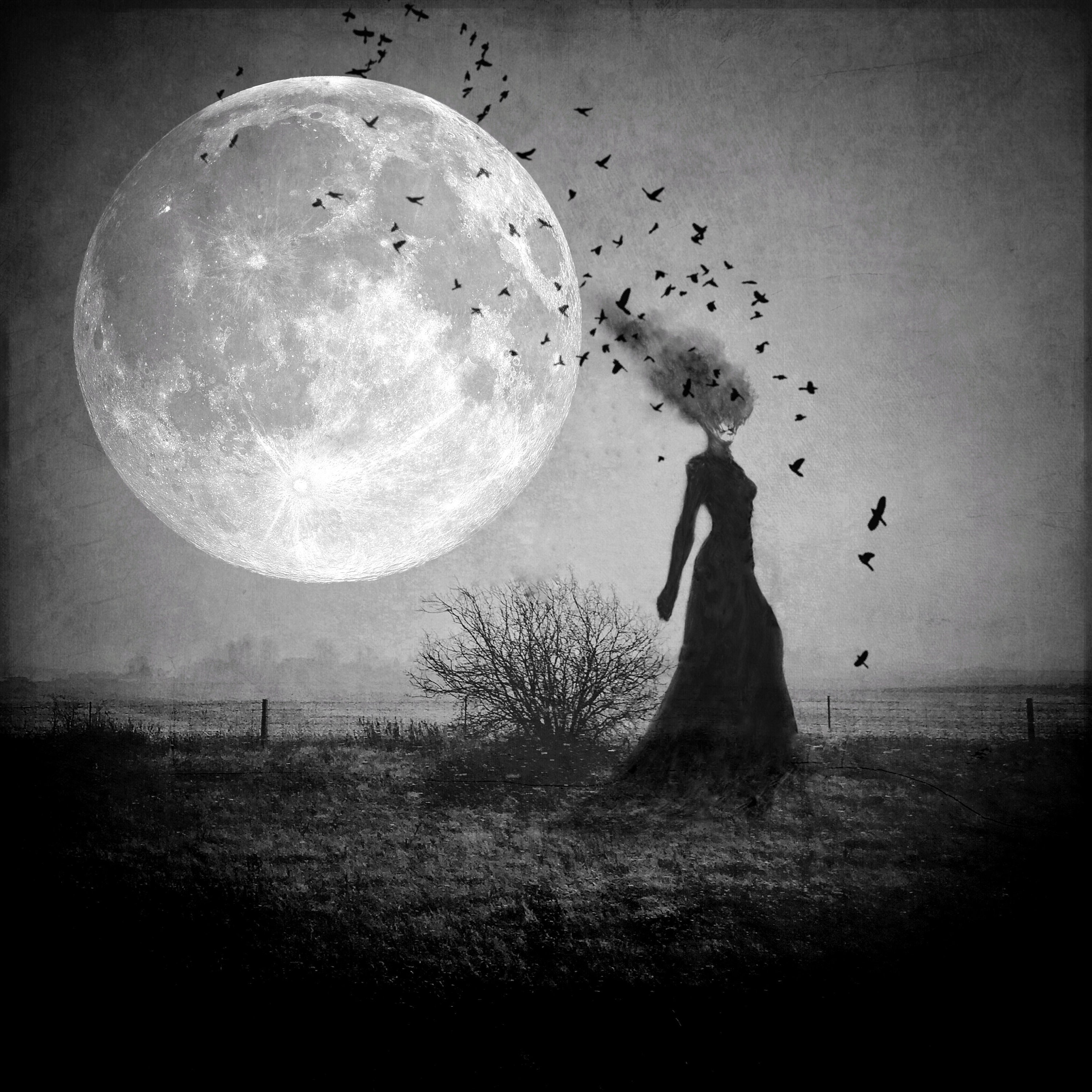 The Witching Hour PRINT Full Super Moon Photo Goddess - Etsy