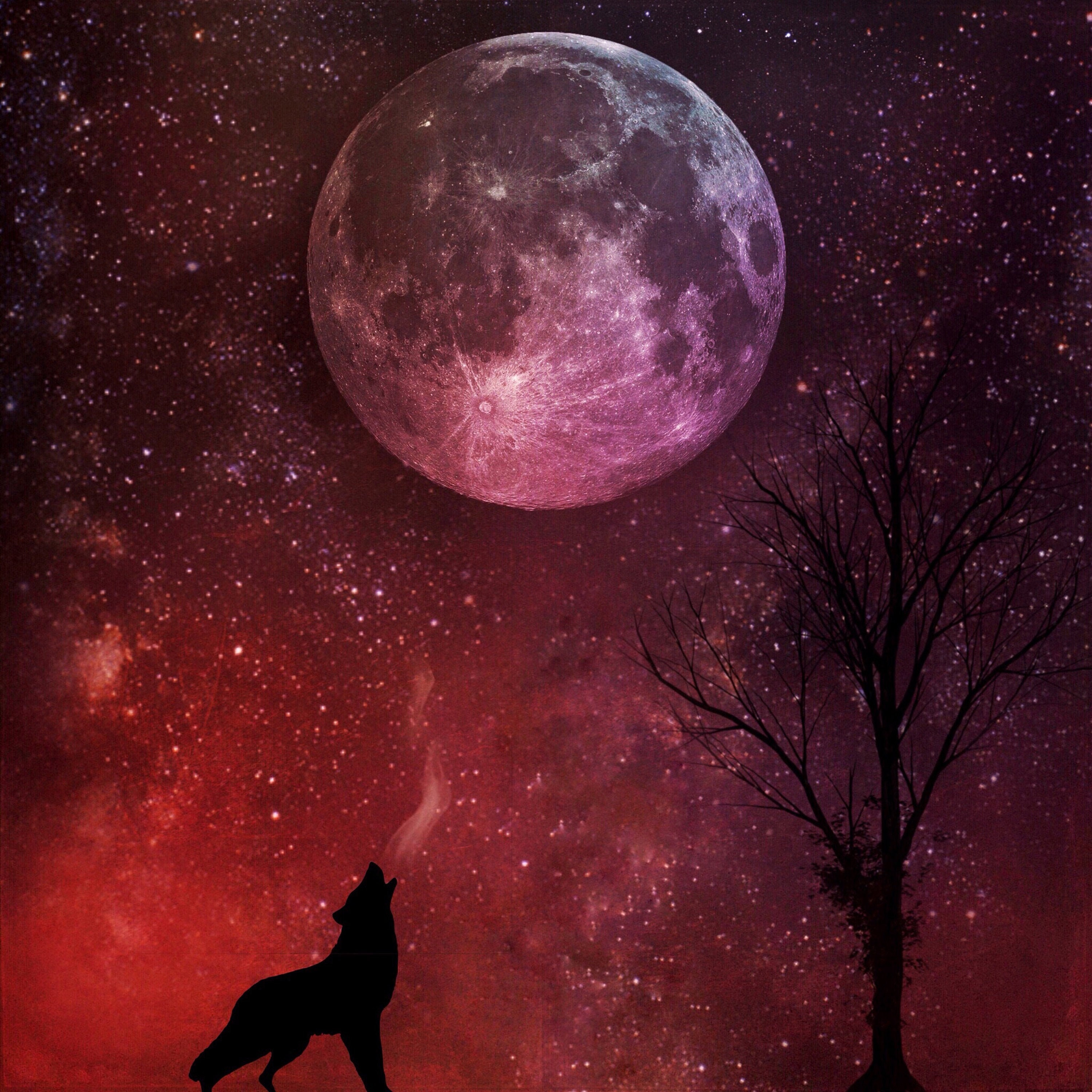 Howling Wolf Red Moon