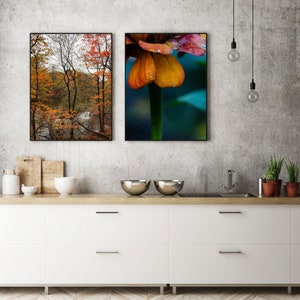 Rumination PRINT Autumn Fall Colors Photo Bare Tree Branches, Home ...