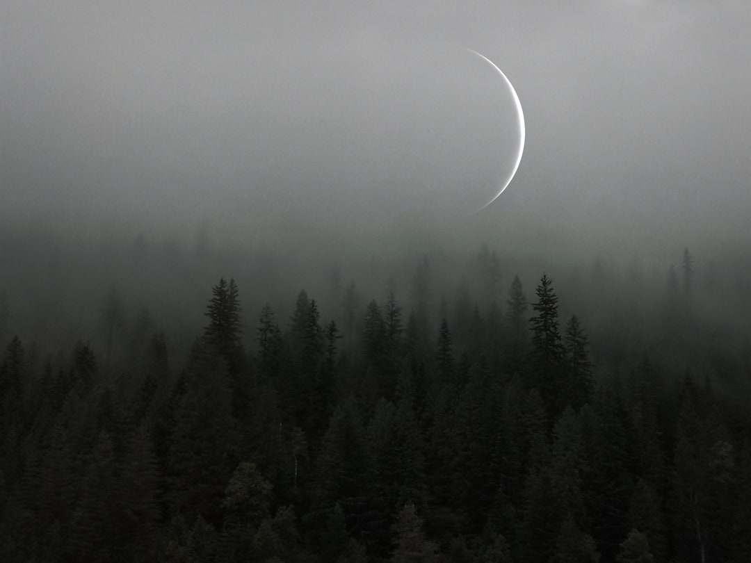 Dark Moon PRINT - New Moon Photo Wall Art Home Decor Astrology ...