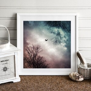 Dramatic Sky Photo PRINT Fine Art Decor Bird Flying - Etsy