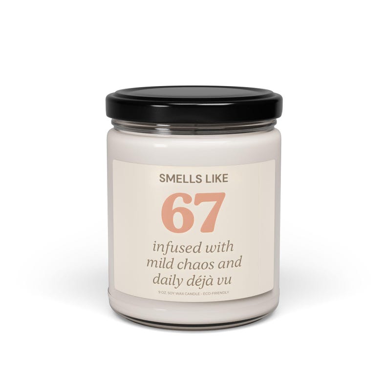 67 Gift, Funny Six Seven Gift, Teacher 6 7 Candle, Teacher Christmas ...