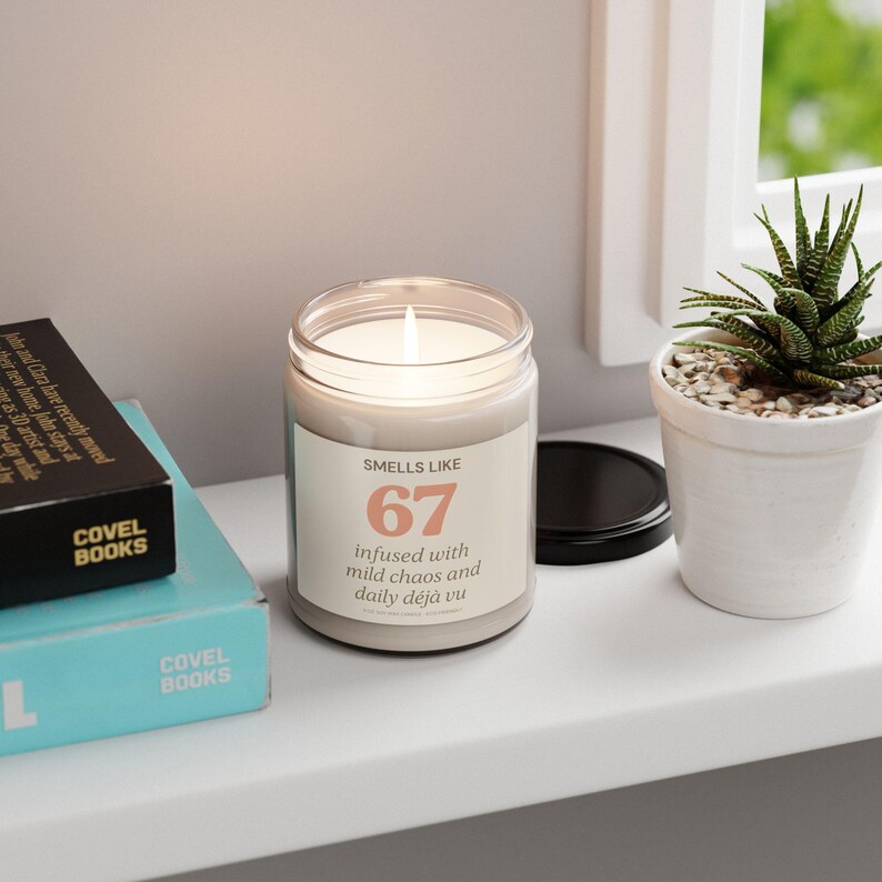 67 Gift, Funny Six Seven Gift, Teacher 6 7 Candle, Teacher Christmas ...