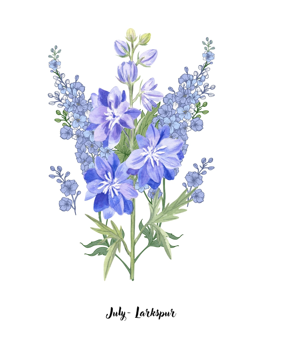 Birth Month Flower, July Larkspur, Watercolor Larkspur, Printable Wall ...