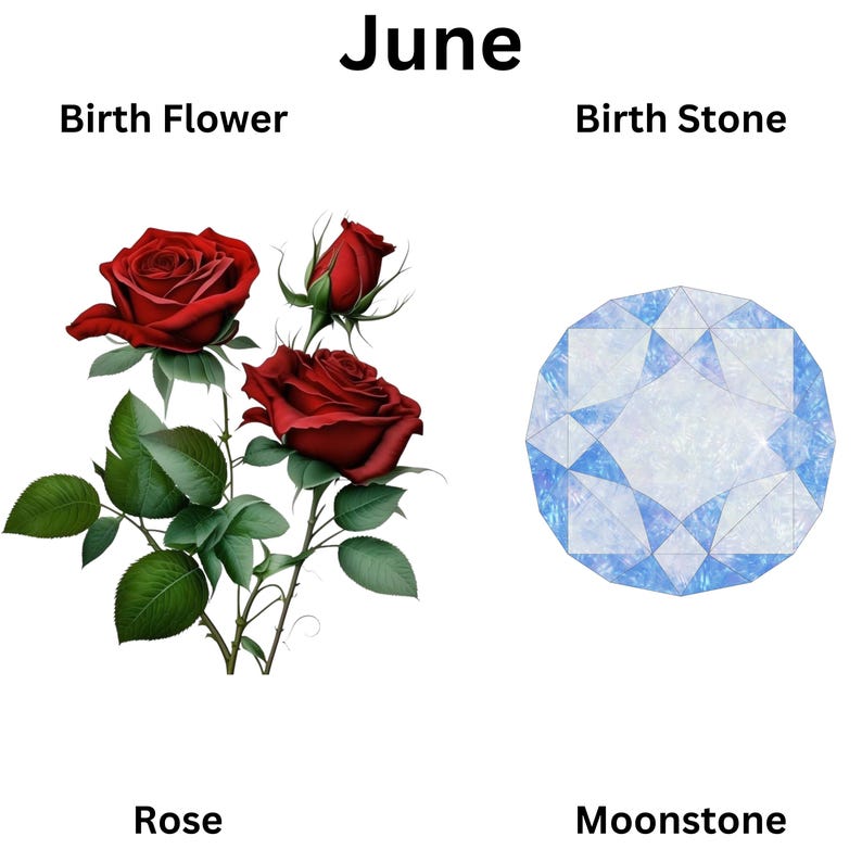 Birth Chart Art: Flower & Stone Guide (PNG Downloadable File) - Etsy