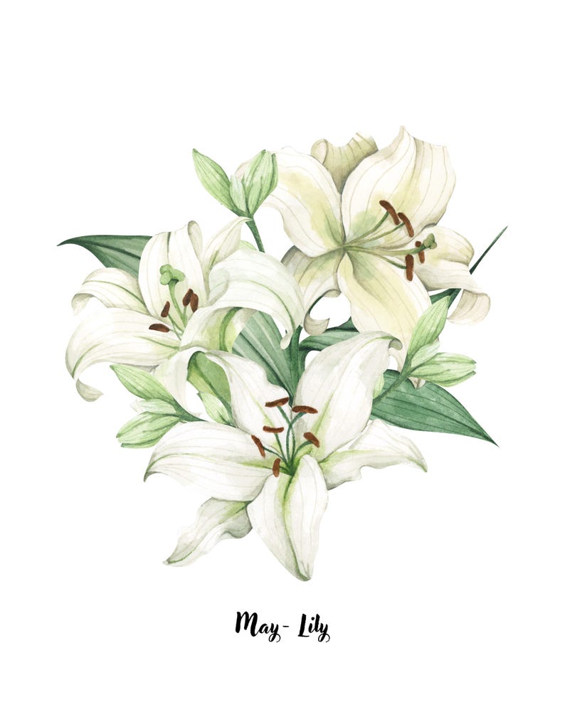 Birth Month Flower, May Lily, Watercolor Lily, Printable Wall Art ...