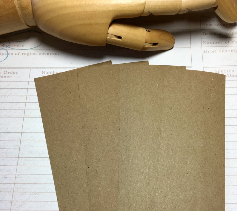 BLANK Paper Belly Bands - Wide (100) . Kraft Brown or Bright White ...