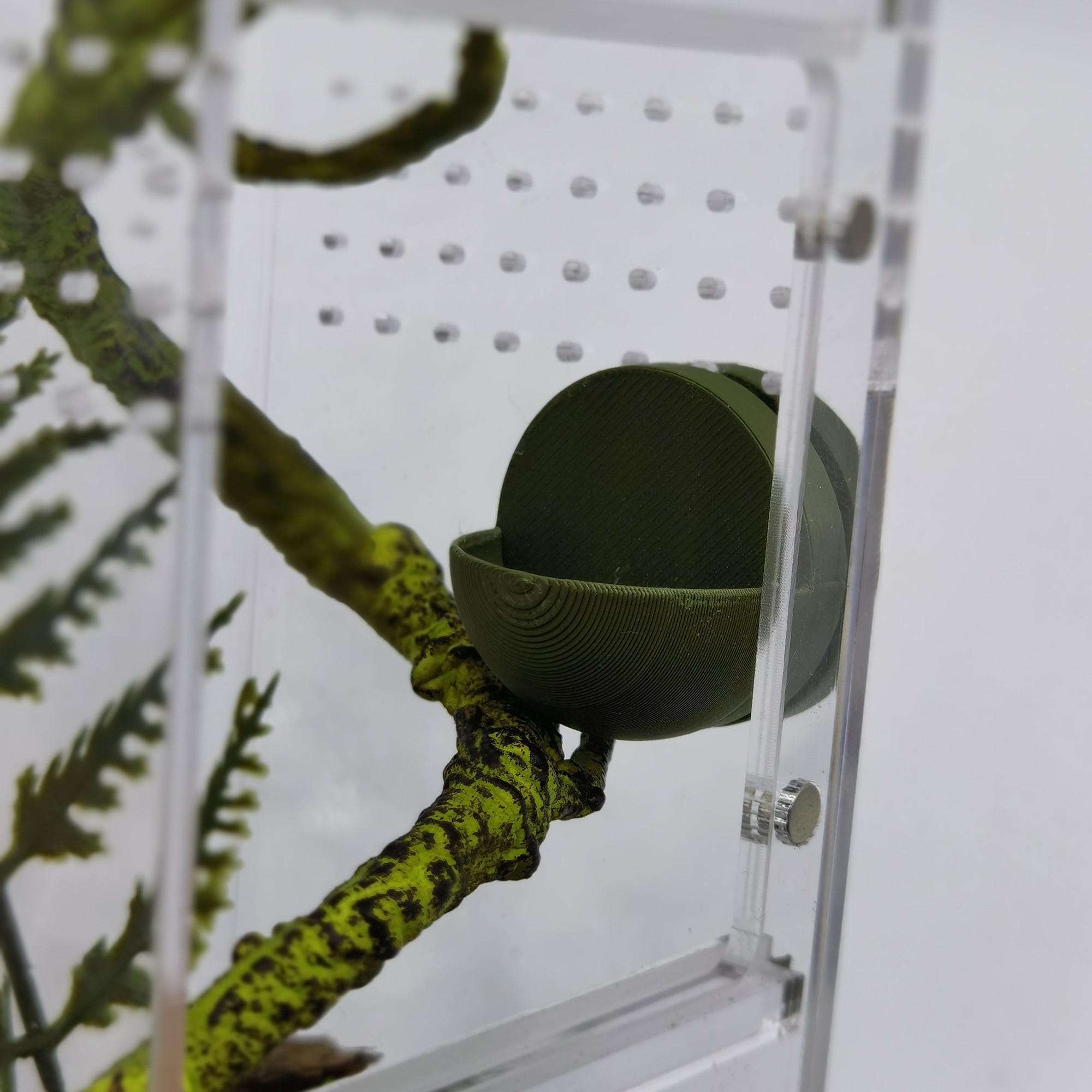 Custom Magnetic Jumping Spider Feeder Dishes & Feeding Platforms ...