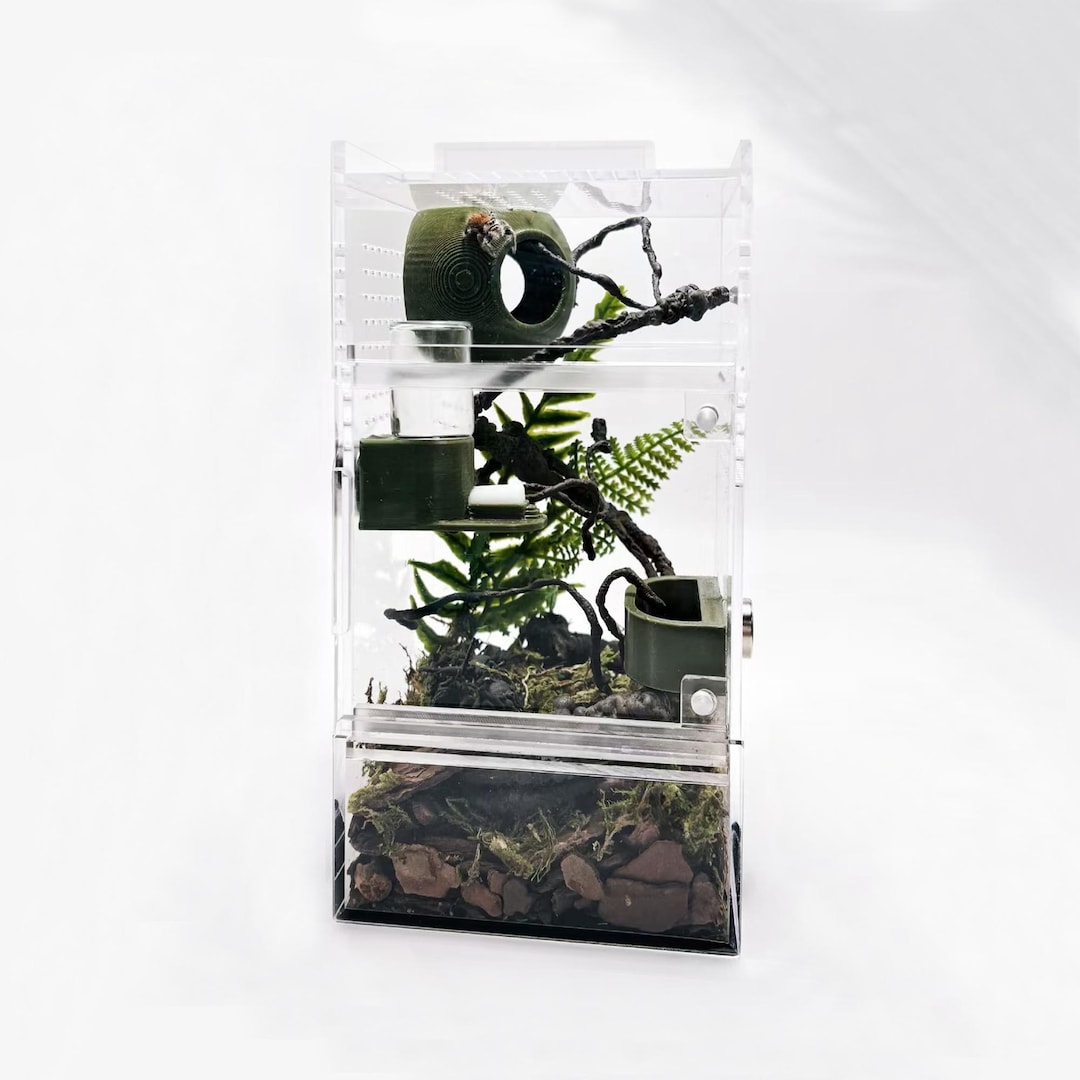 Geometric Treehouse Terrarium With Mesh Ventilation – Ideal for ...