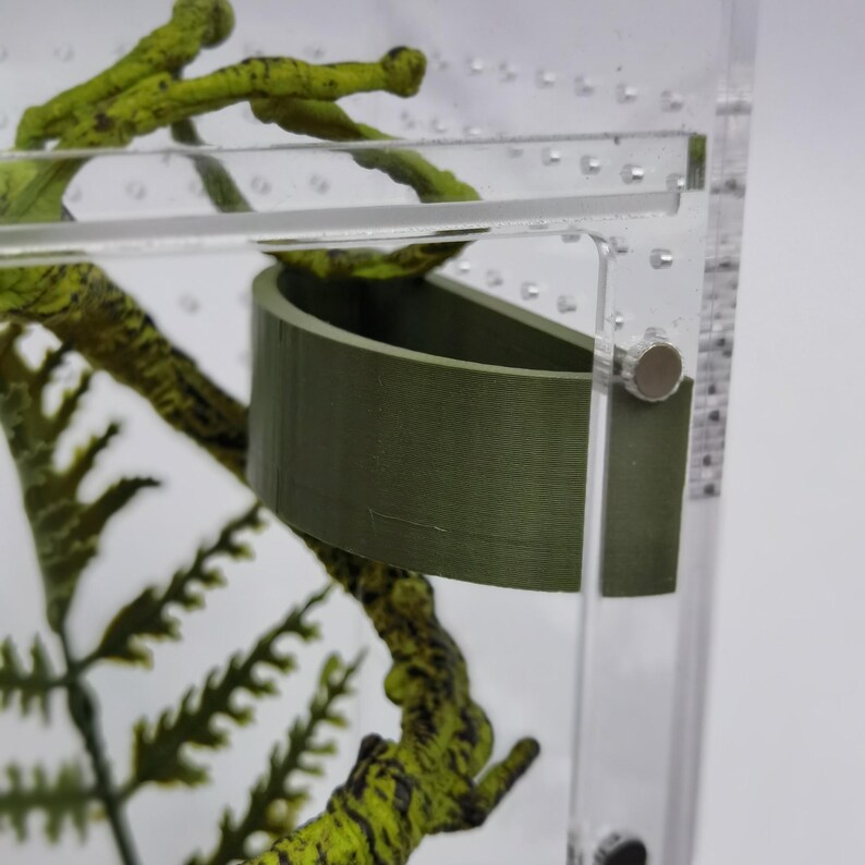 Custom Magnetic Jumping Spider Feeder Dishes & Feeding Platforms, Easy ...