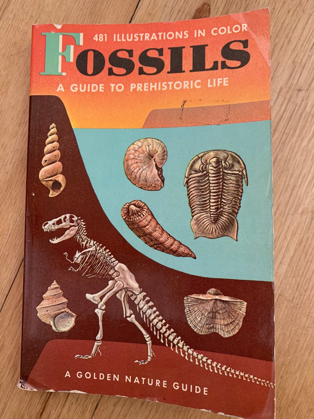 A Golden Fossils A Guide to Prehistoric Life Vintage 1962 Book - Etsy