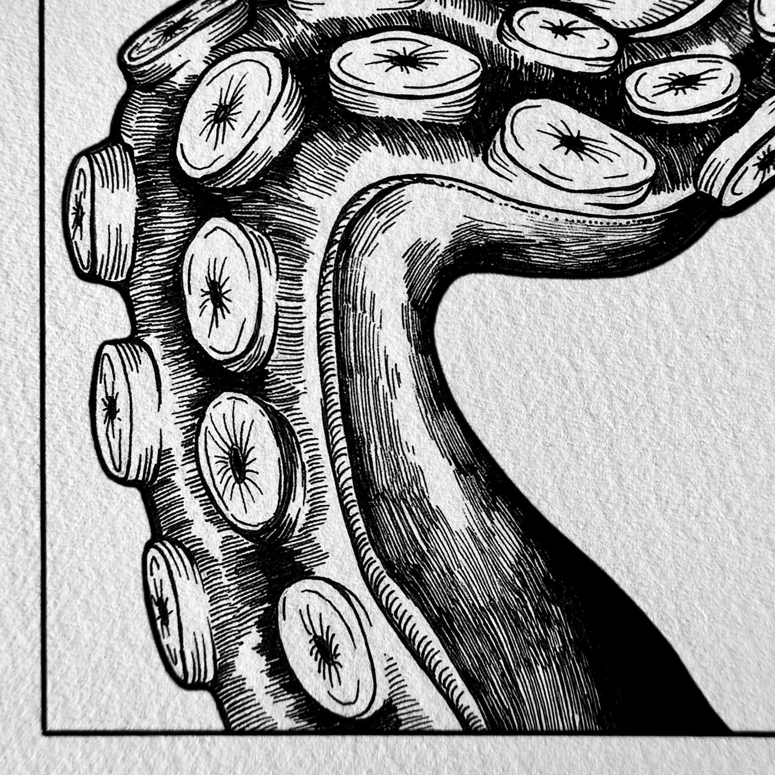 Pen & Ink Tentacle Art Print, A5/A4, Black and White Octopus Drawing ...