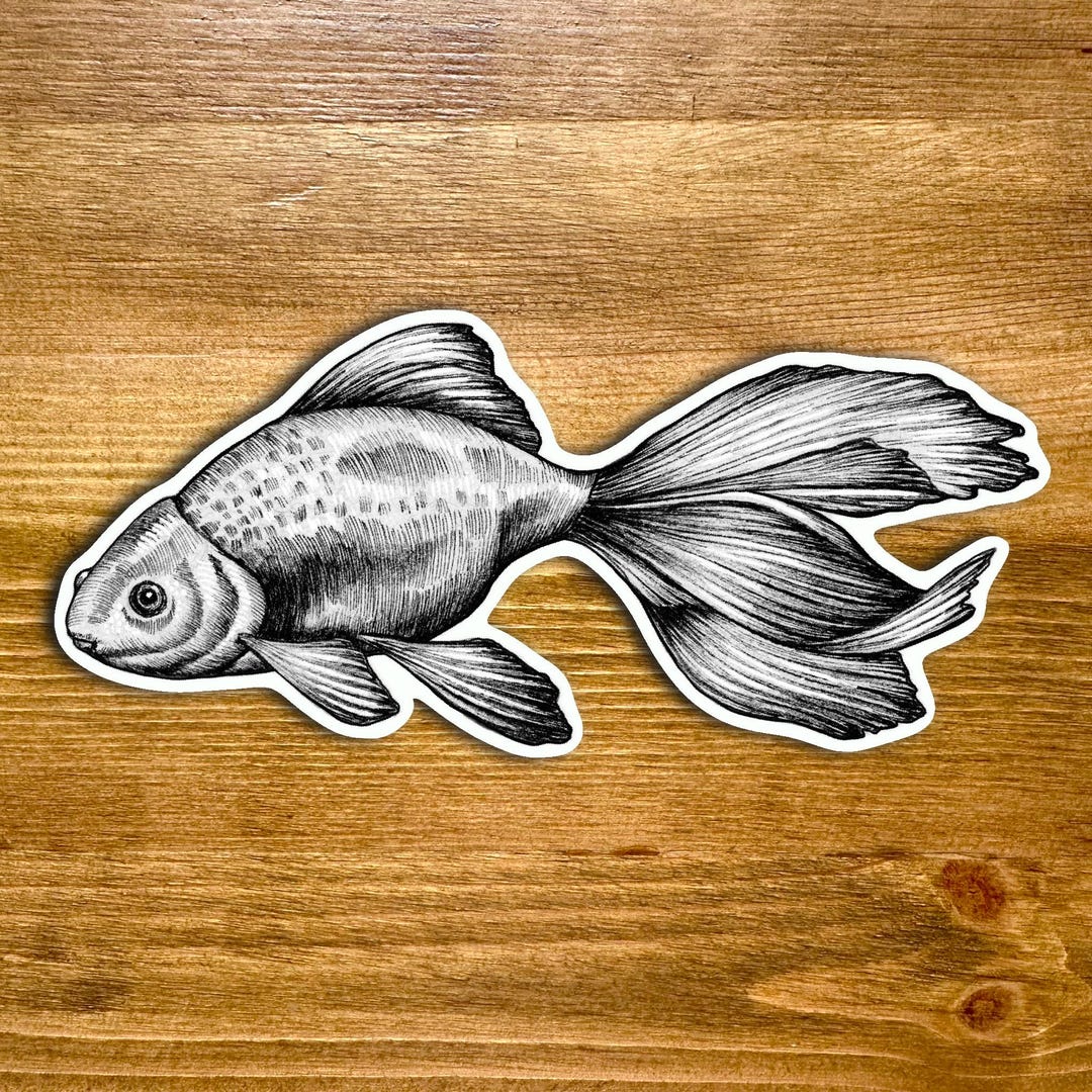 Pen & Ink Fish Matte Vinyl Sticker, Black and White Nature Illustration ...
