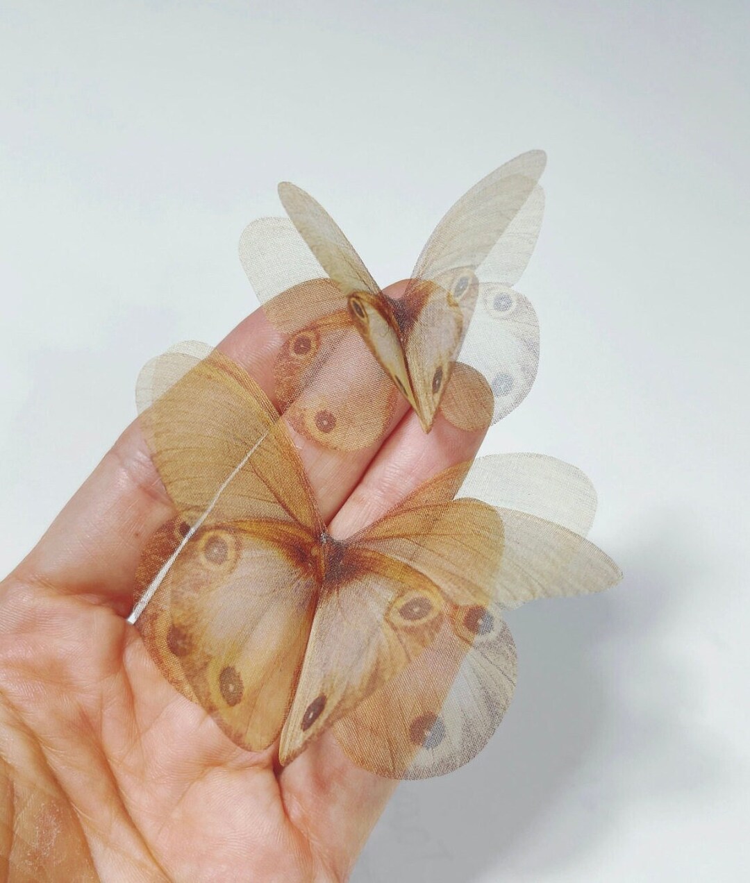 BEIGE NATURAL Silk Organza Butterflies - Pure Silk Butterfly Applique ...