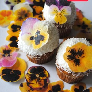 45 yellow edible pansy flowers edible flowers wedding | Etsy