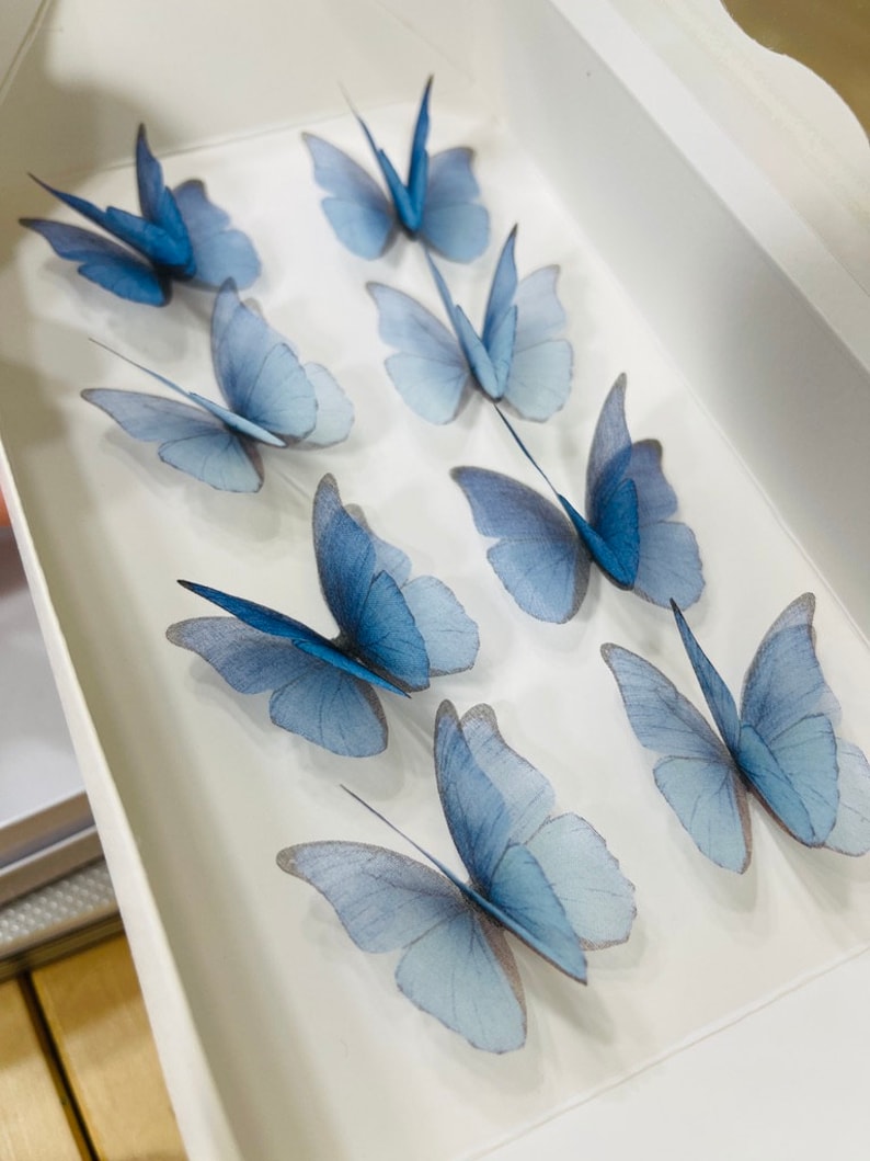 SILK BLUE Rainbow BUTTERFLY - 3D Light Blue to Dark Blue Butterfly ...