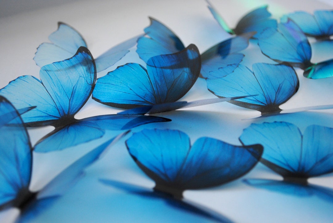 Blue Rainbow Decorative Butterflies . 3D Plastic Butterflies . Ombre ...