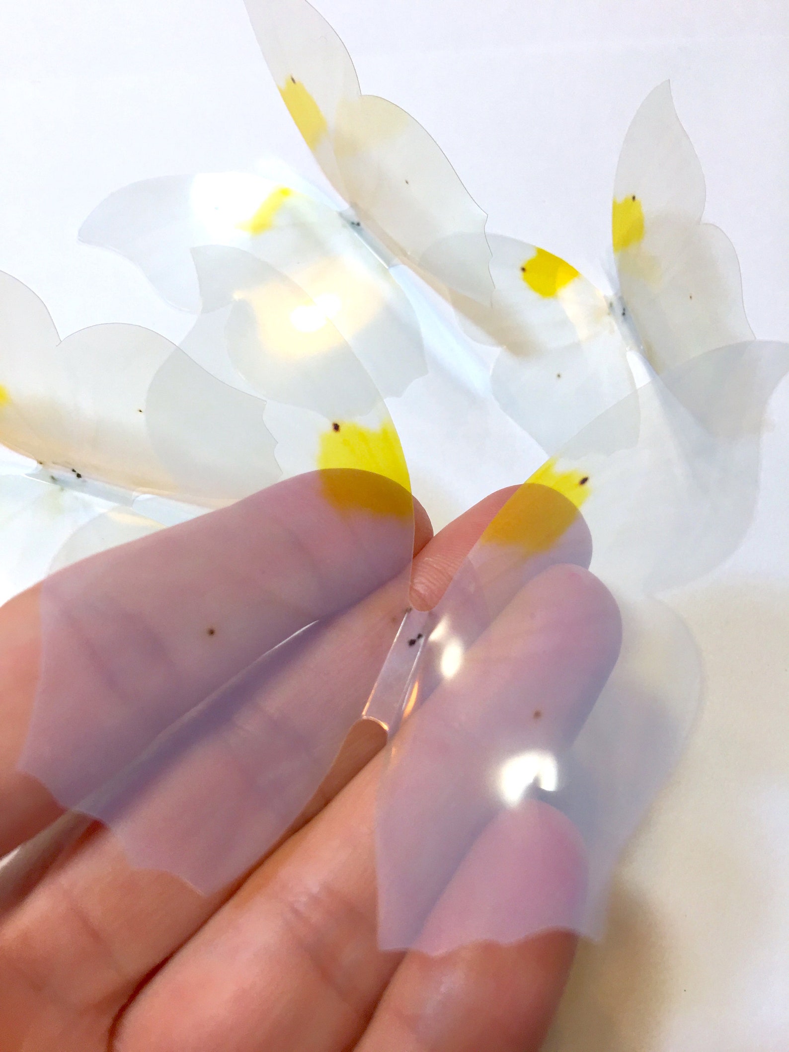 WHITE Decorative Butterflies TRANSLUCENT White Butterflies - Etsy