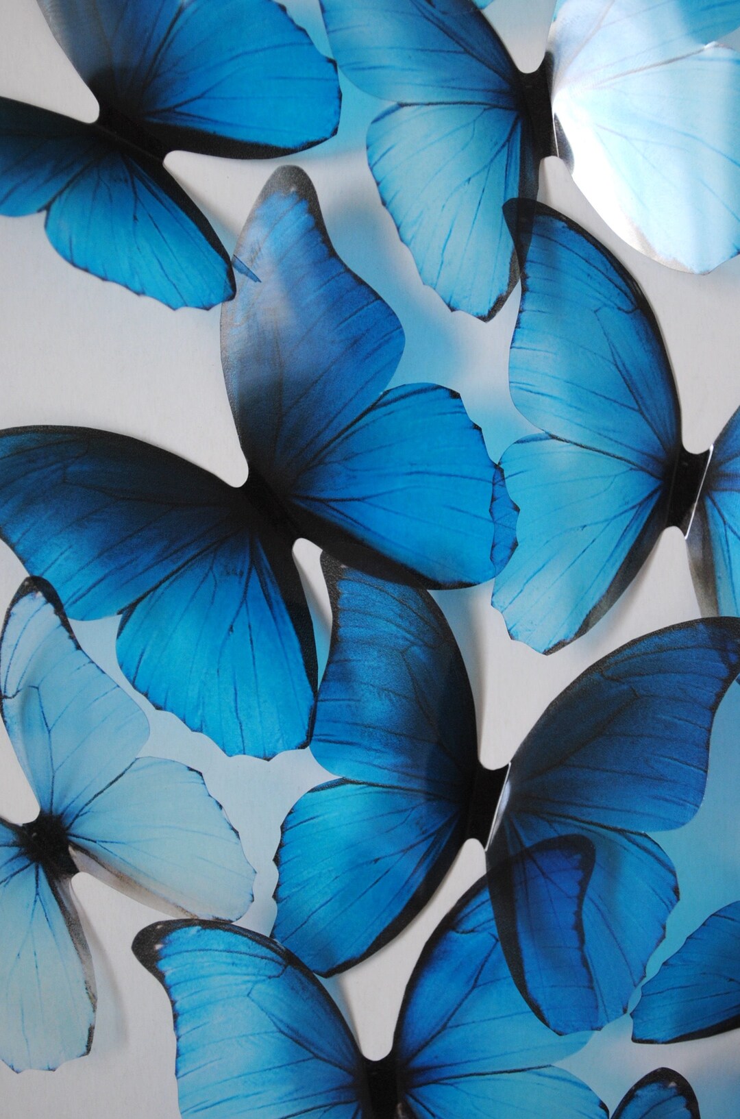 Blue Frozen Butterfly . Plastic Butterfly . Ombre Blue Butterfly ...
