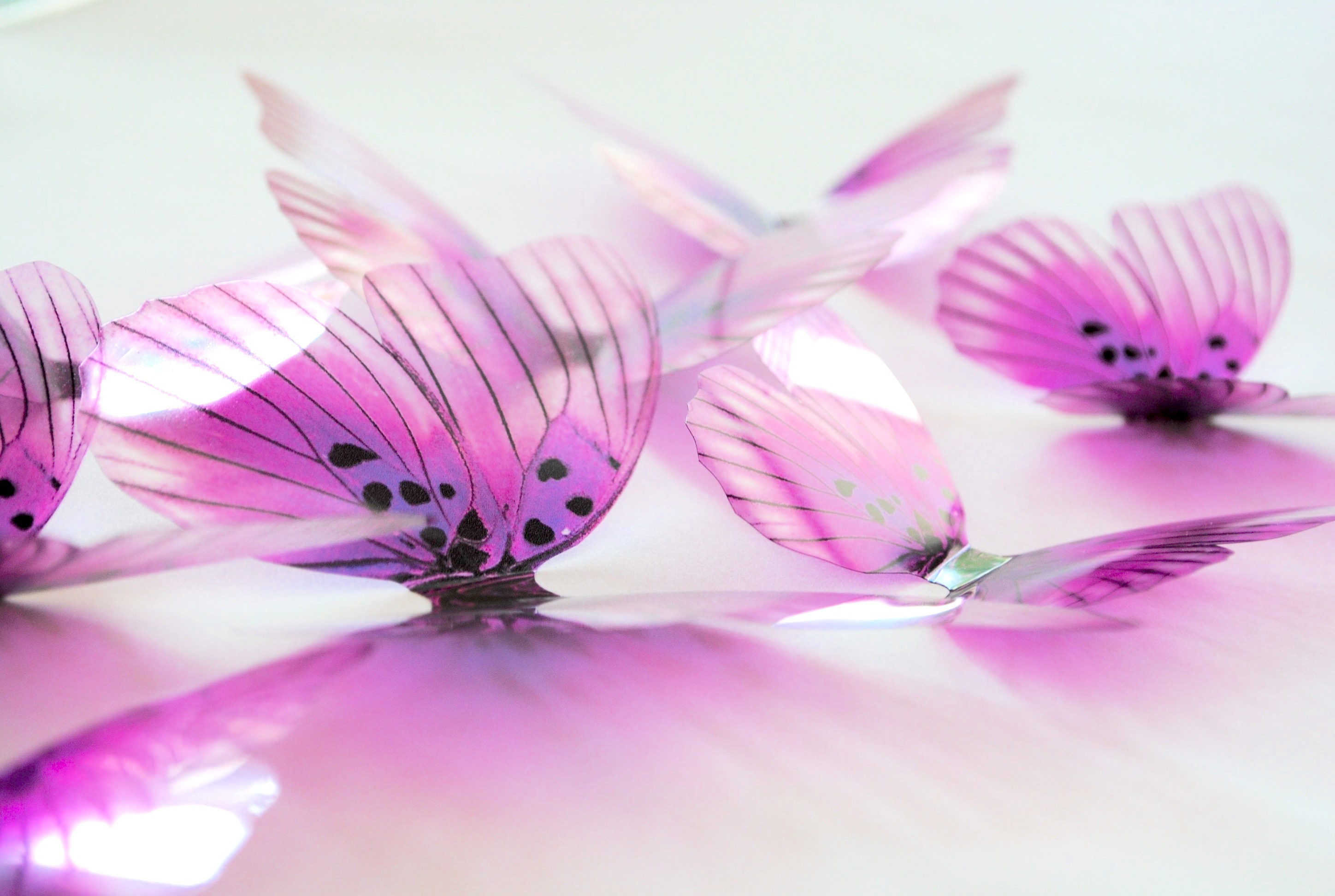 Pink Butterflies 3D Pink Transparent Butterfly 3D Adhesive - Etsy Australia