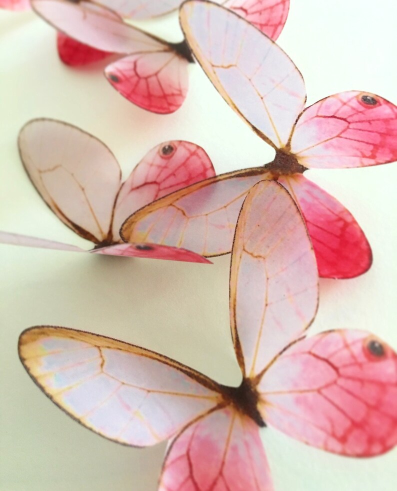 BLUSH PINK Vellum BUTTERFLIES White Blush Butterfly Wings | Etsy