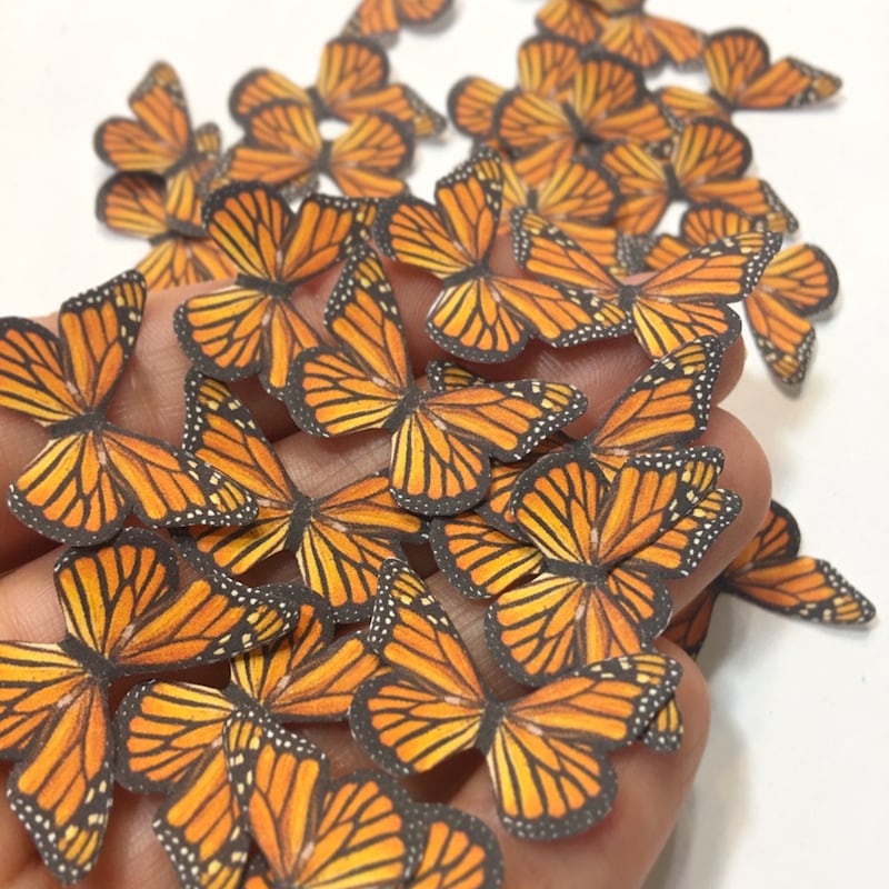 Cardstock Monarch Butterfly - Etsy