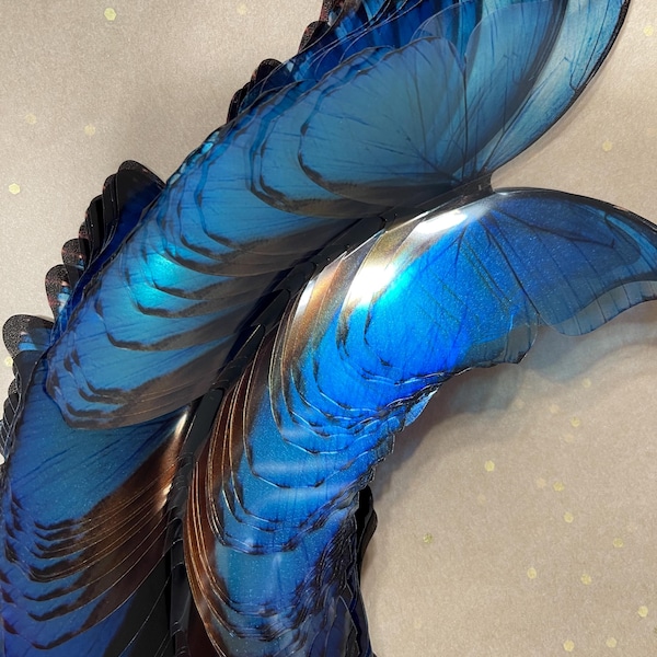 Reflective Butterfly - Etsy UK