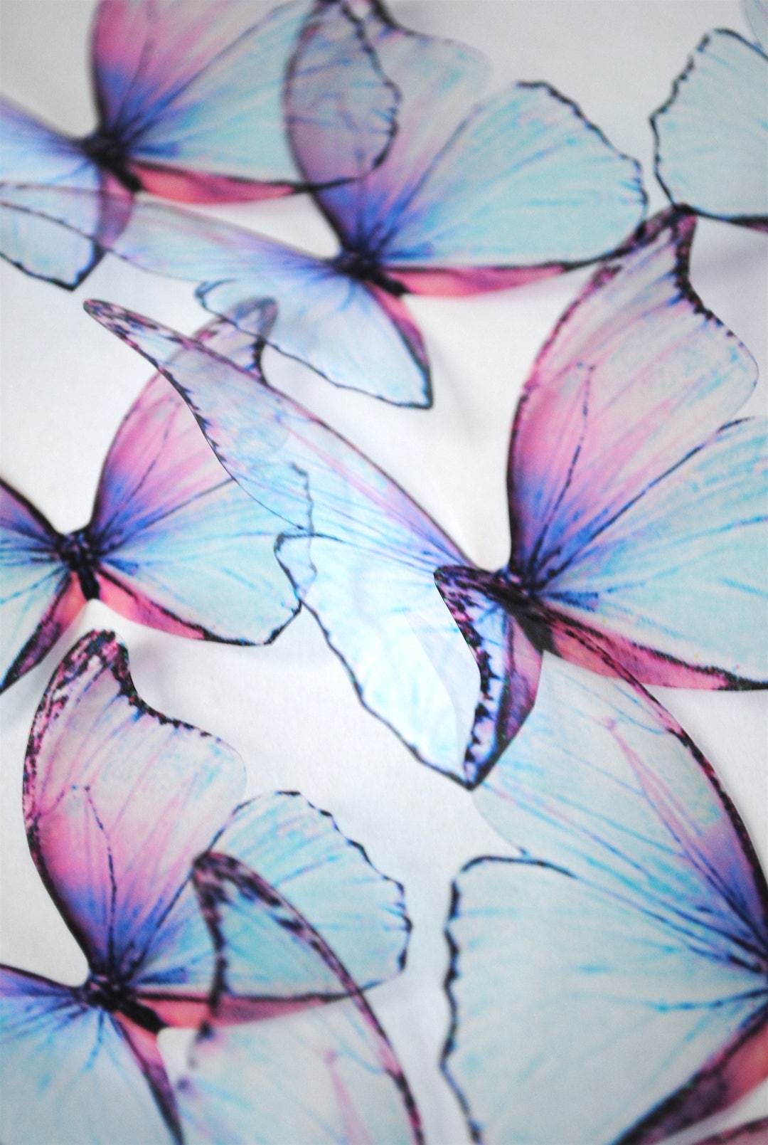 Frozen Style Butterflies - Ombre Blue Acetate Butterfly - Frozen Blue ...