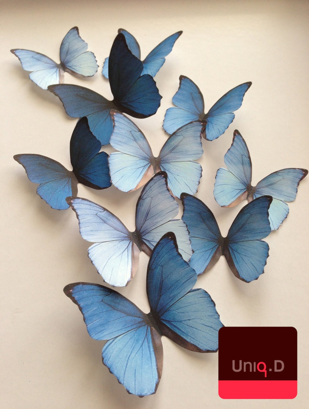 OMBRE BLUE Decorative Butterfly, Home Decor, Blue Morpho Home Decor ...