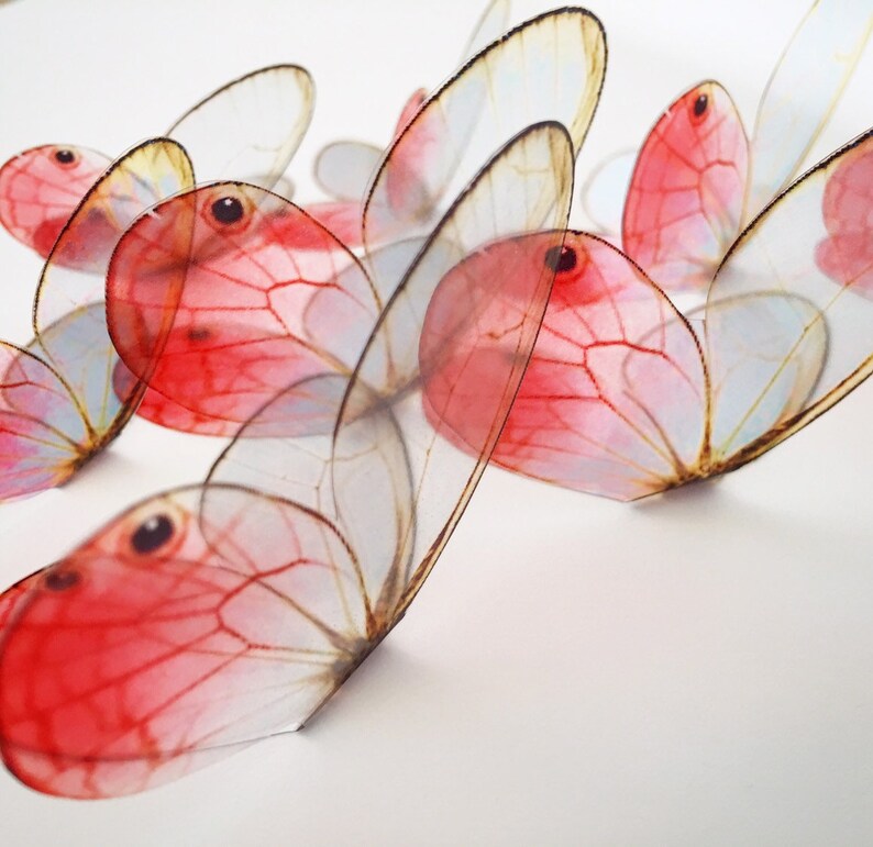 Cherry Blossom Butterflies Pink Blush Butterfly 3D - Etsy
