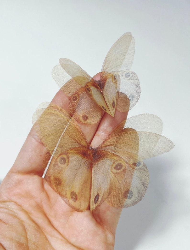 BEIGE NATURAL Silk Organza Butterflies - Pure Silk Butterfly Applique ...