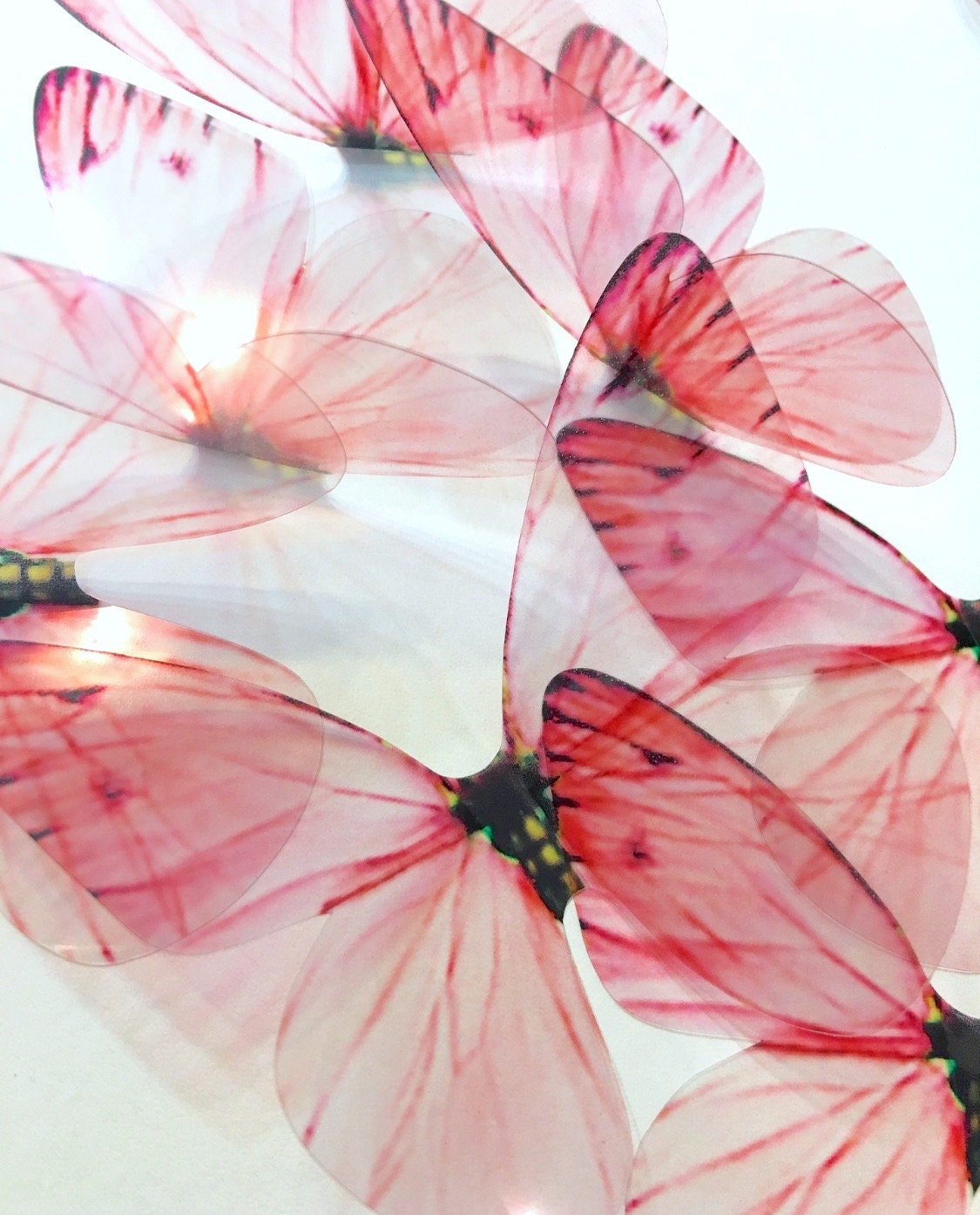 BLUSH ROSE Butterflies 3D Blush Pink Butterfly Ombre Pink | Etsy