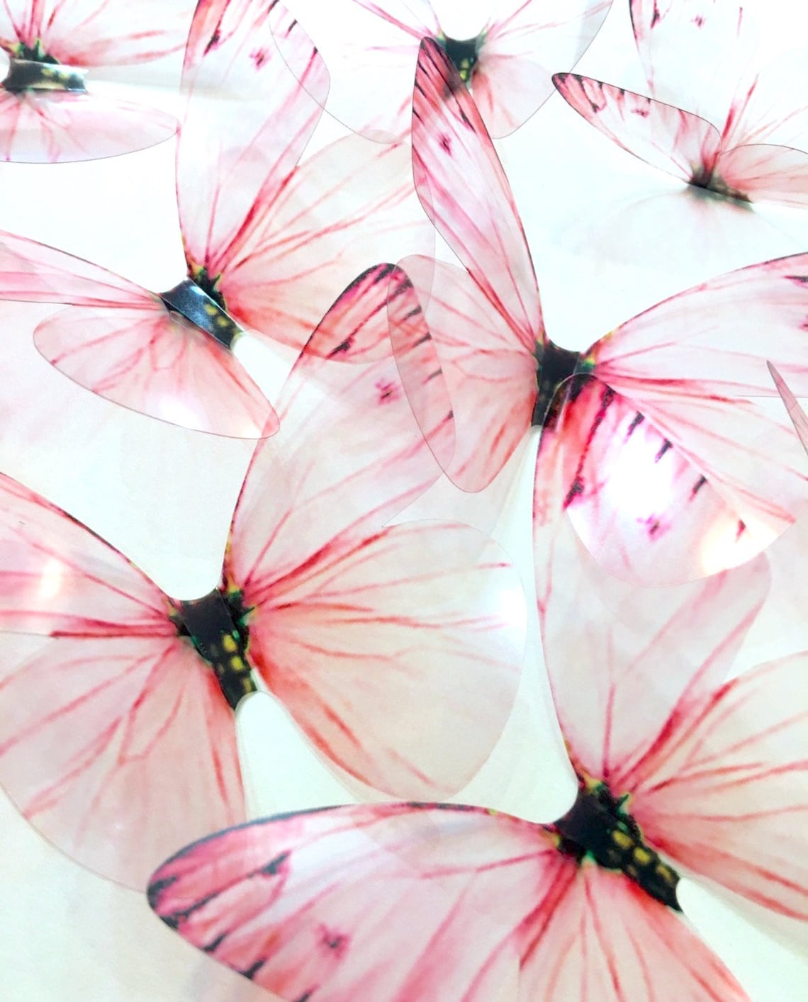 VINTAGE ROSE Butterflies 3D Blush Pink Butterfly Ombre | Etsy