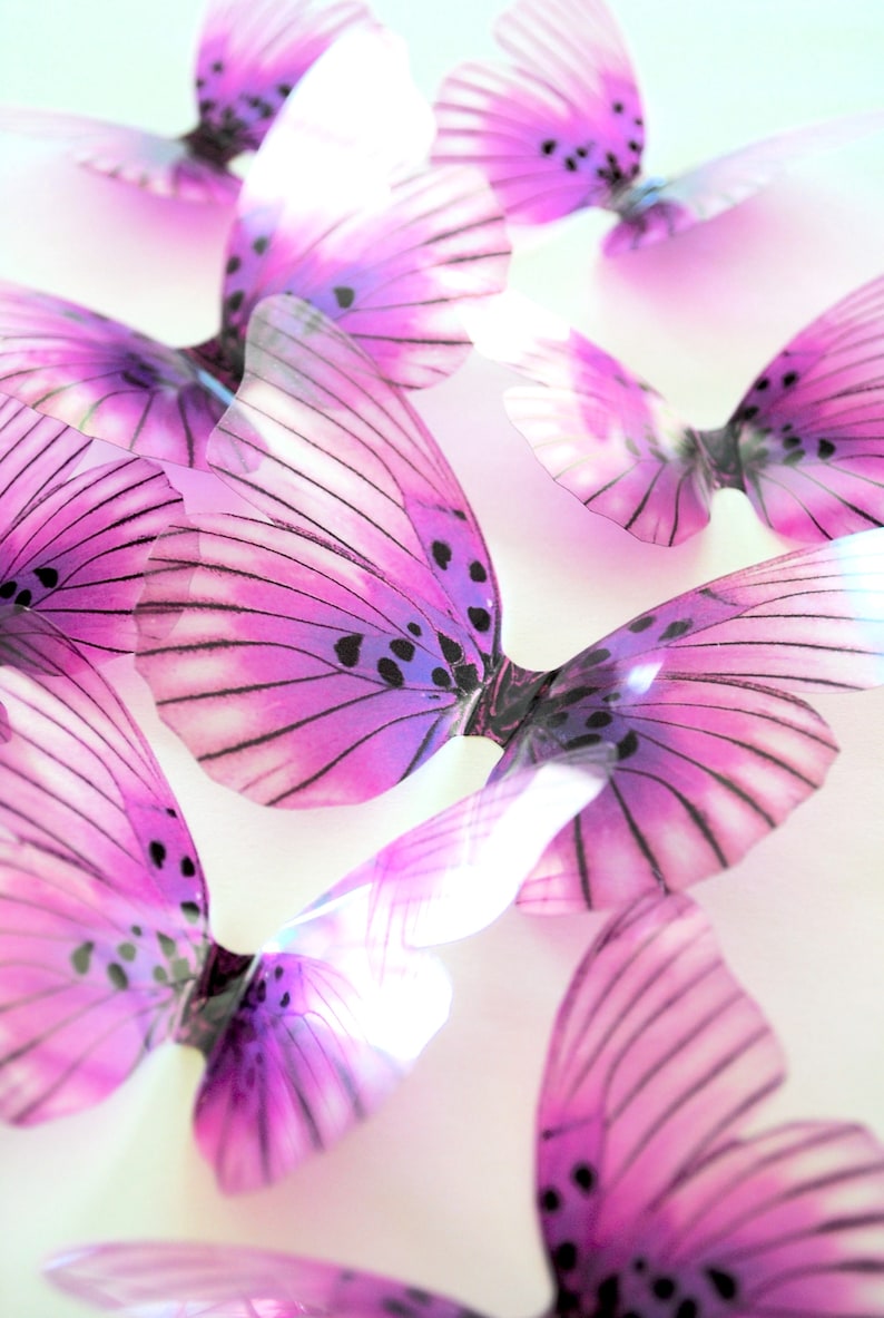 Pink Butterflies 3D Pink Transparent Butterfly 3D Adhesive - Etsy Australia