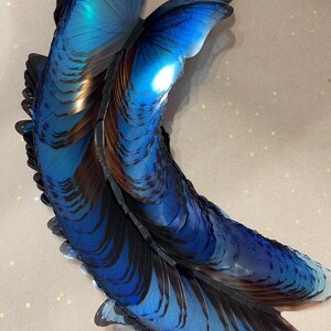 Blue Rainbow Decorative Butterflies - 3D Plastic Butterflies - Ombre ...