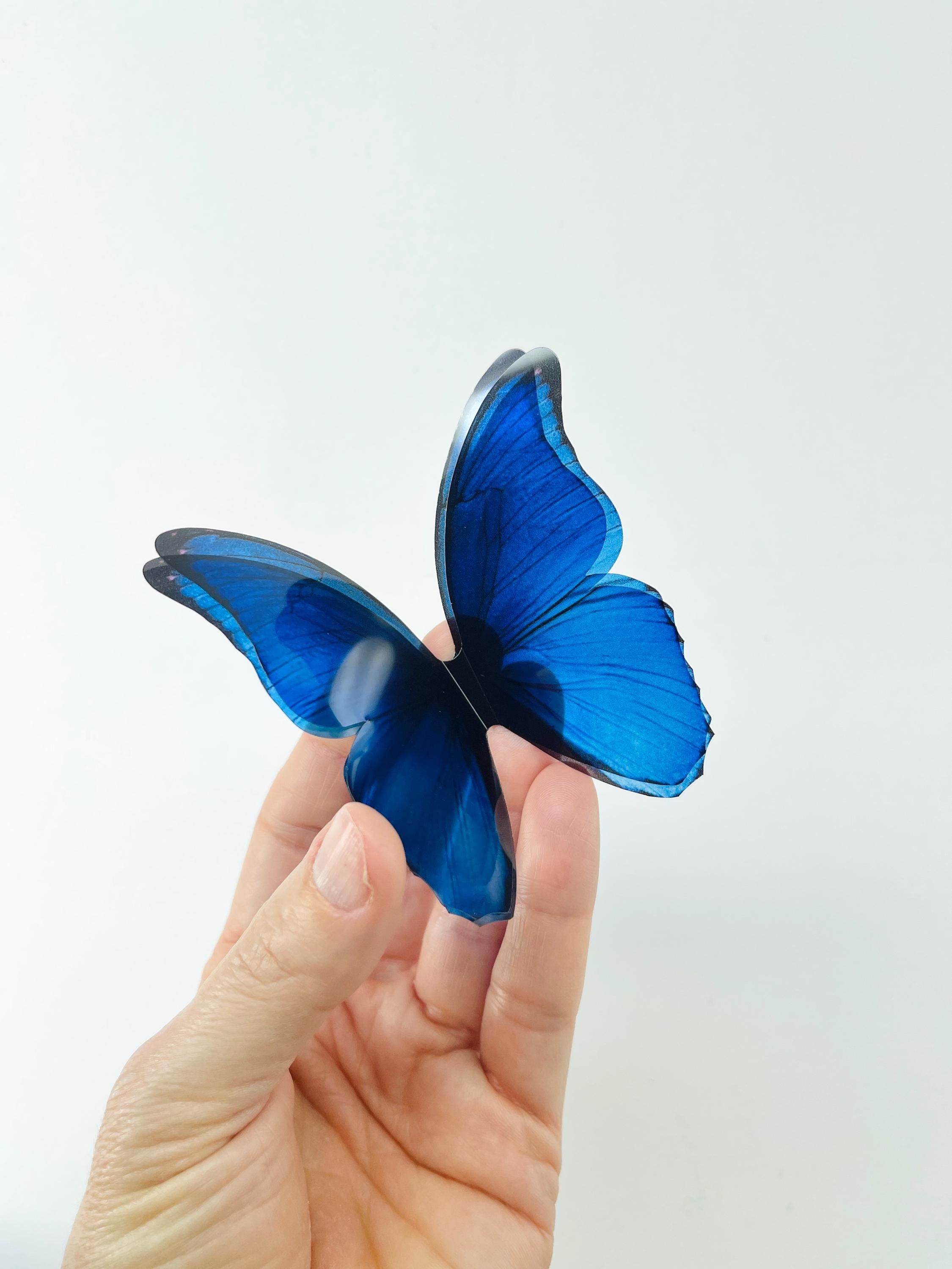 Blue Rainbow Plastic Butterfly Collection - Ombre Blue Wall Art ...
