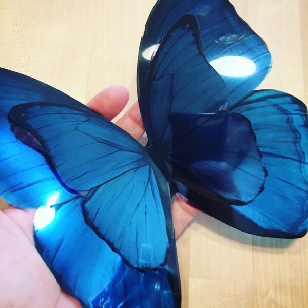Huge Butterflies - Etsy