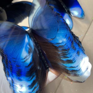 Blue Rainbow Decorative Butterflies - 3D Plastic Butterflies - Ombre ...