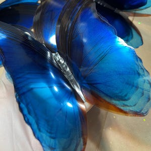 Blue Rainbow Decorative Butterflies - 3D Plastic Butterflies - Ombre ...