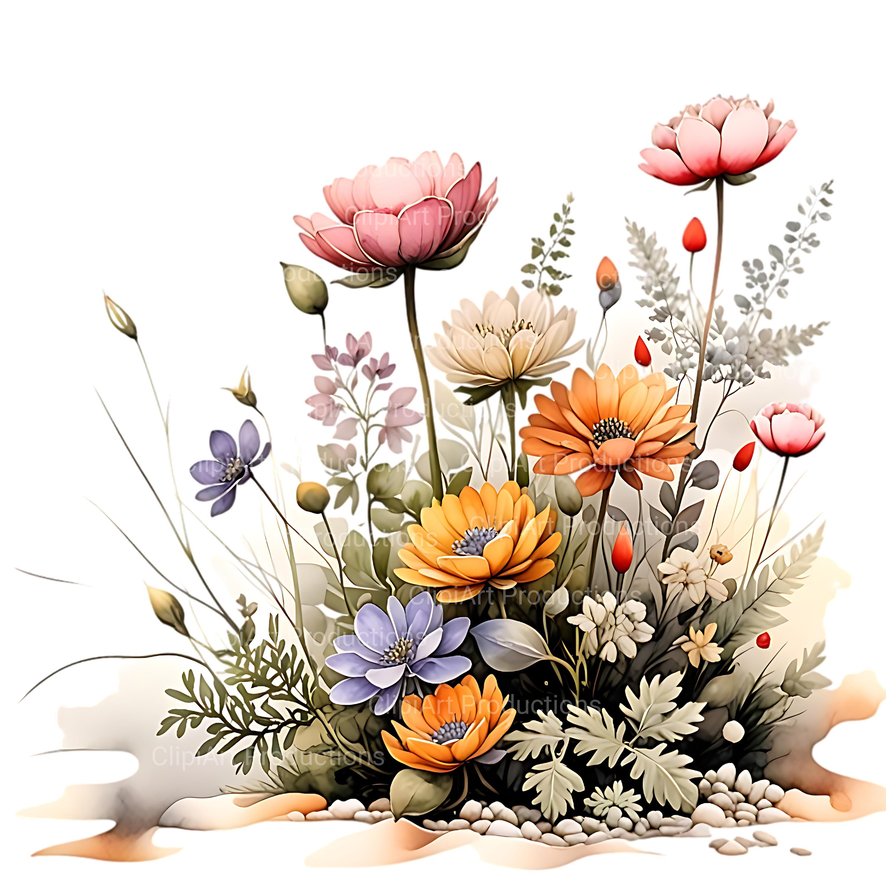 22 Wildflower Flowerbed Clipart | Rustic Botanical PNG | Cottagecore ...