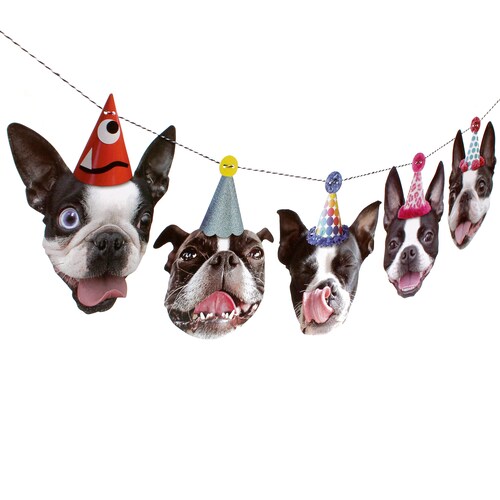 Boston Terrier Invitation dog Birthday Party Invitation. - Etsy