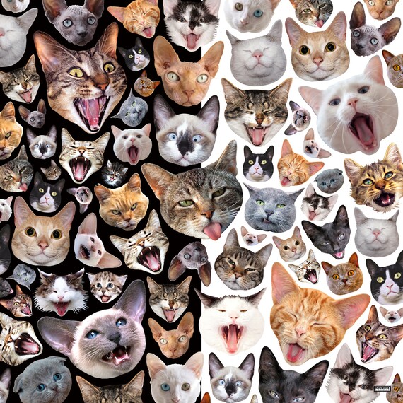 Cats Collage Background