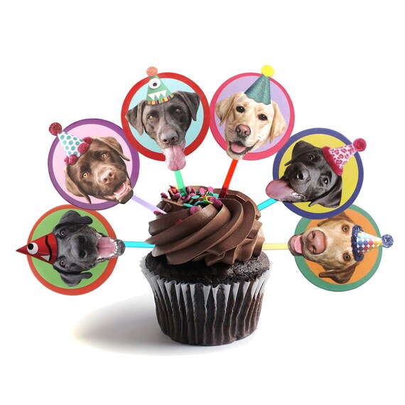 Labrador Dogs Cupcake Toppers Set of 6 Photo Reproductions | Etsy