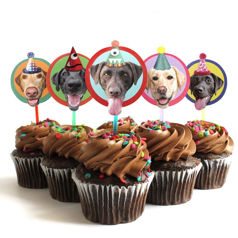 Labrador Dogs Cupcake Toppers Set of 6 Photo Reproductions - Etsy