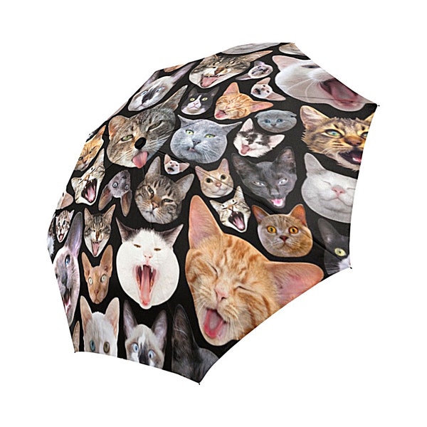 Cat and Umbrella - Etsy