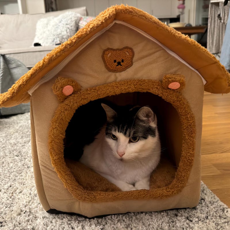 Cat Nap Plush - Etsy