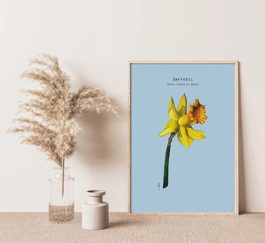 Daffodil Birth Flower of March Watercolour Painting Size - Etsy