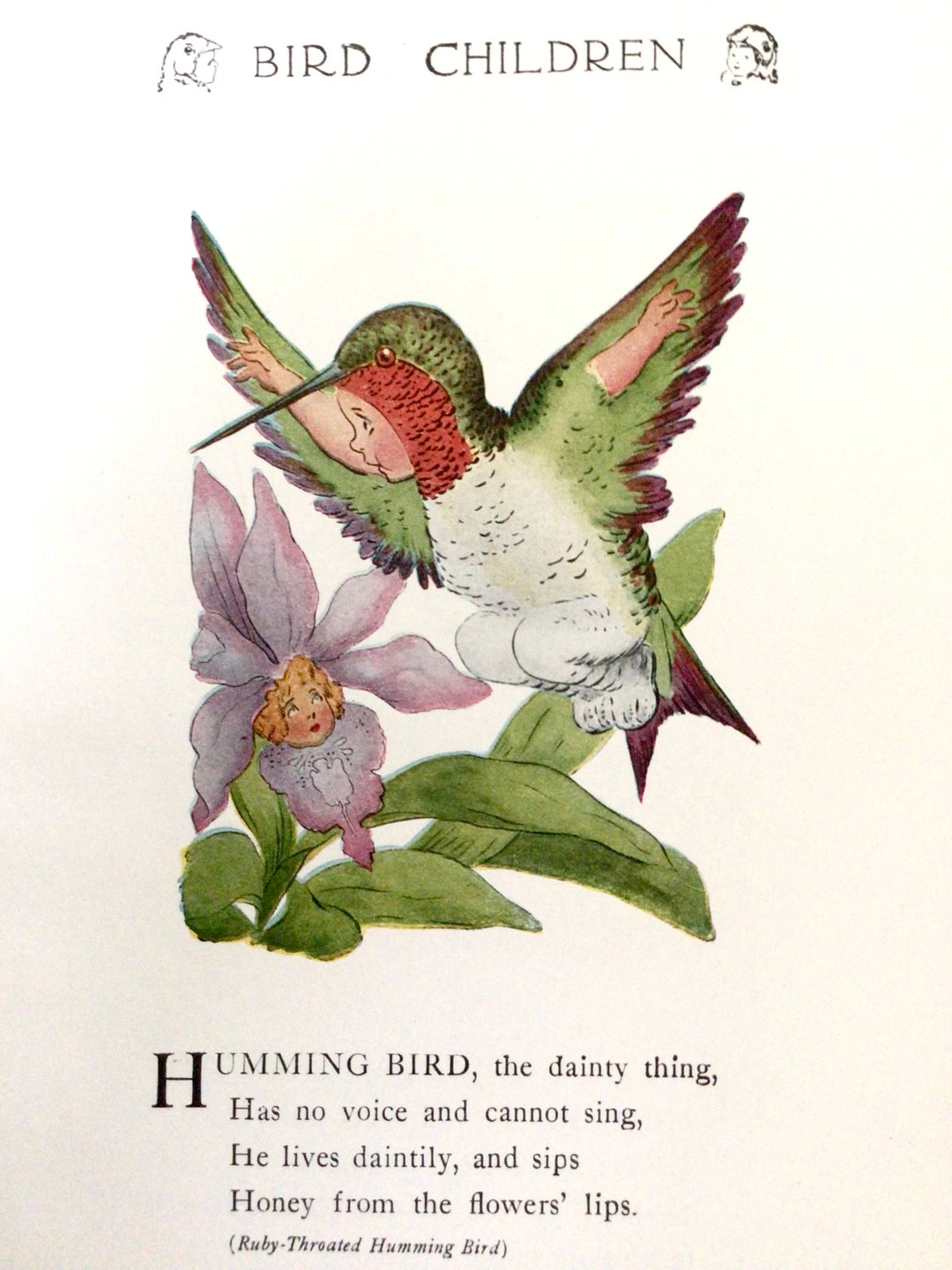 Bird Children, Humming Bird/spoonbill, 2-sided Vintage Bookprints for ...